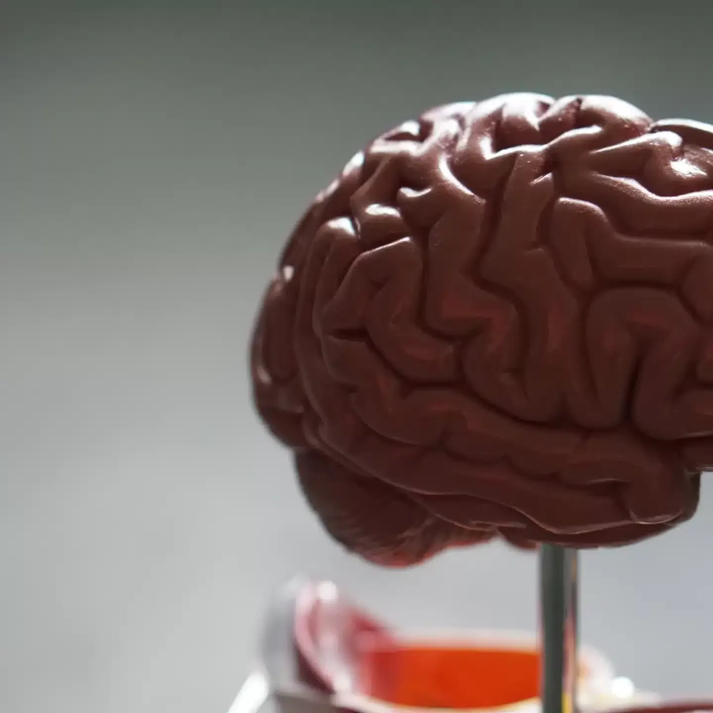 Signs Anoxic Brain Injury Hypoxic And Anoxic Brain Injury: An Overview